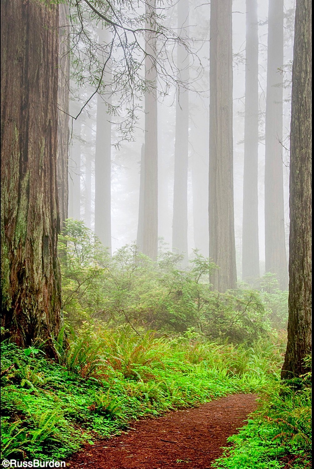 Solve Photo by Russ Burden jigsaw puzzle online with 96 pieces