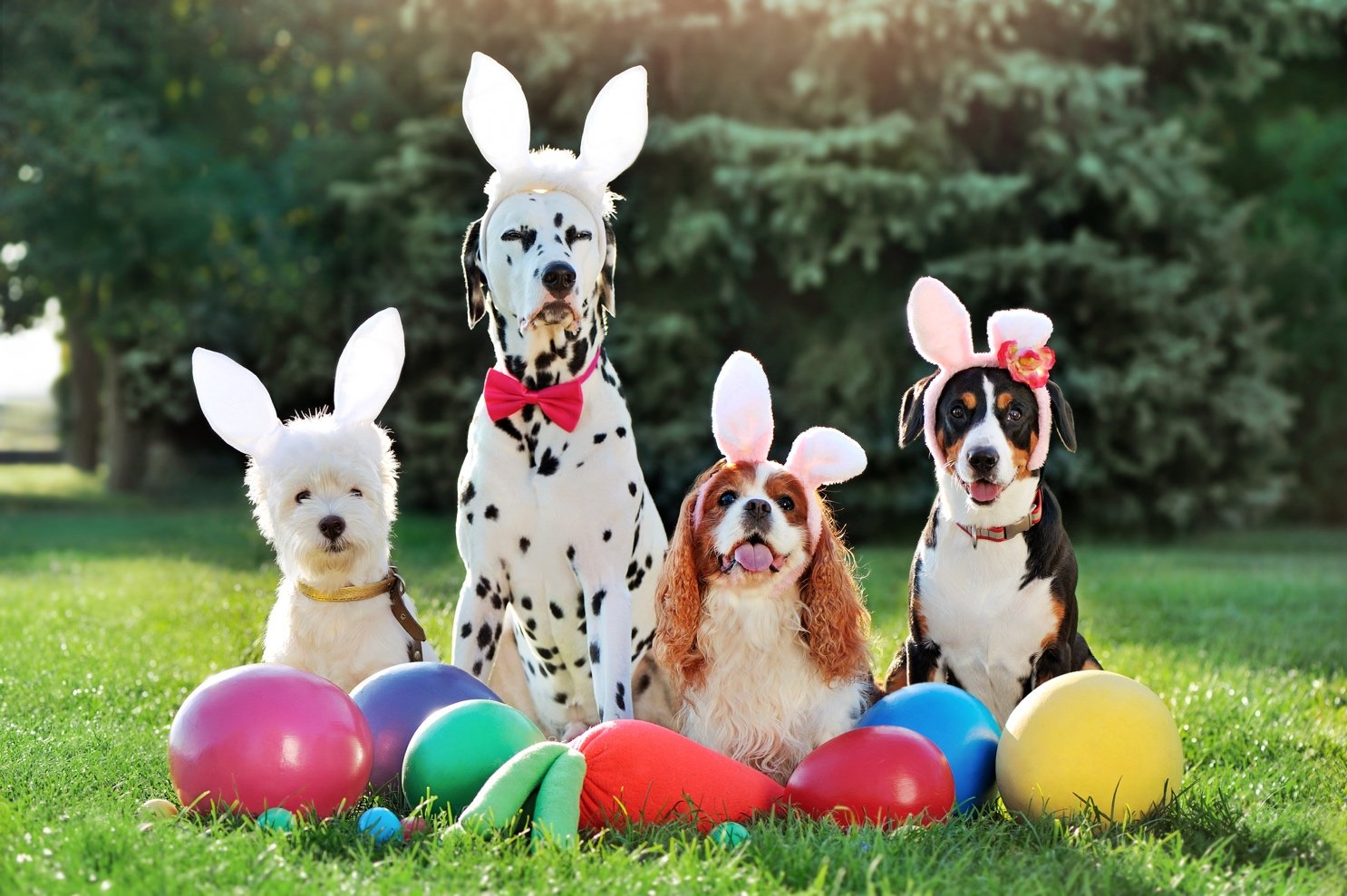 Solve Scalable to 408pcs - Easter Photoshoot Models jigsaw puzzle ...