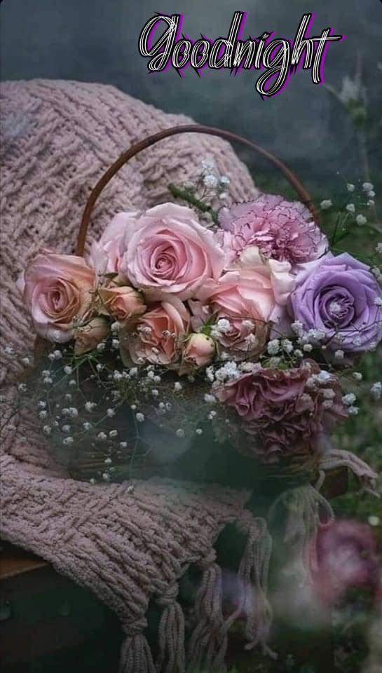 Jigsaw Puzzle | Goodnight Blessings | 66 pieces | Jigidi