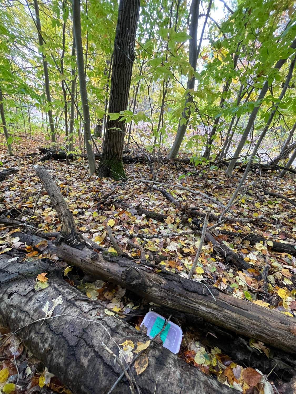 Jigsaw Puzzle | 165 pieces | 2T-2 | Jigidi