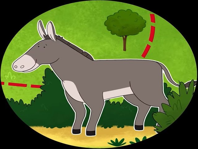 Solve donkey jigsaw puzzle online with 12 pieces