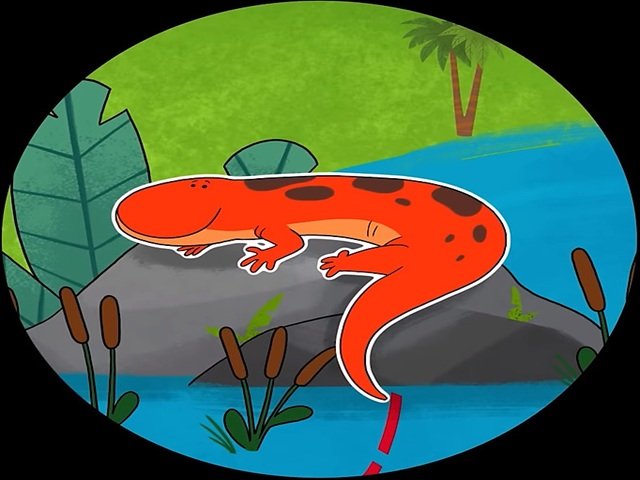 Jigsaw Puzzle | 12 pieces | salamander | Jigidi