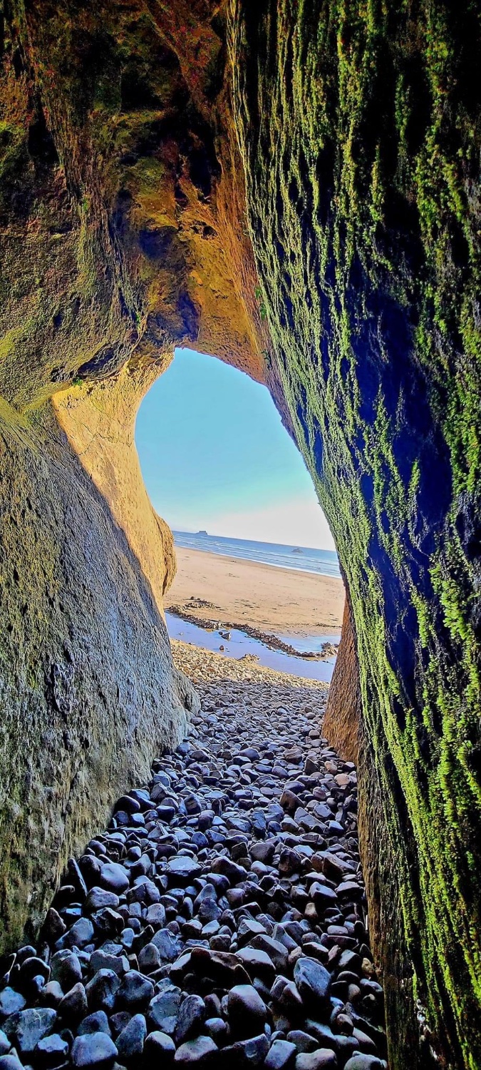 Solve Oregon jigsaw puzzle online with 180 pieces