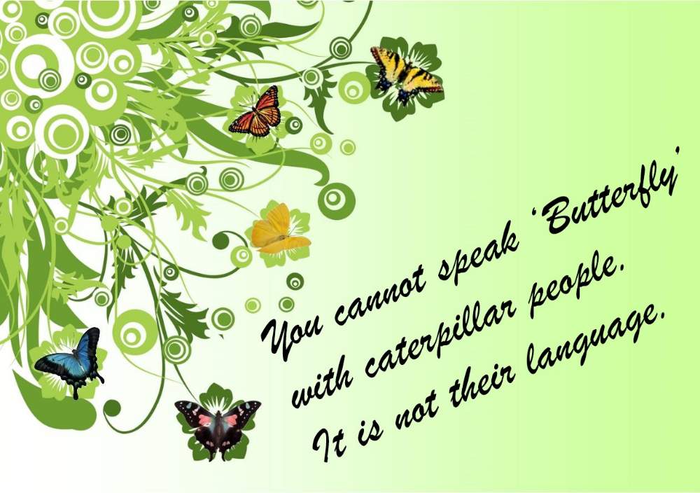 Solve Butterfly_Language, Speaking jigsaw puzzle online with 12 pieces