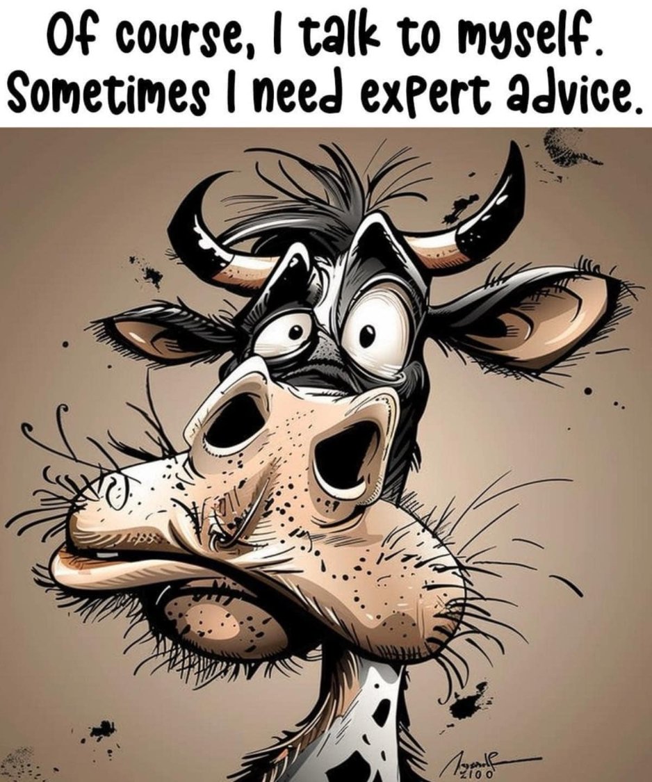 Solve expert advice jigsaw puzzle online with 20 pieces