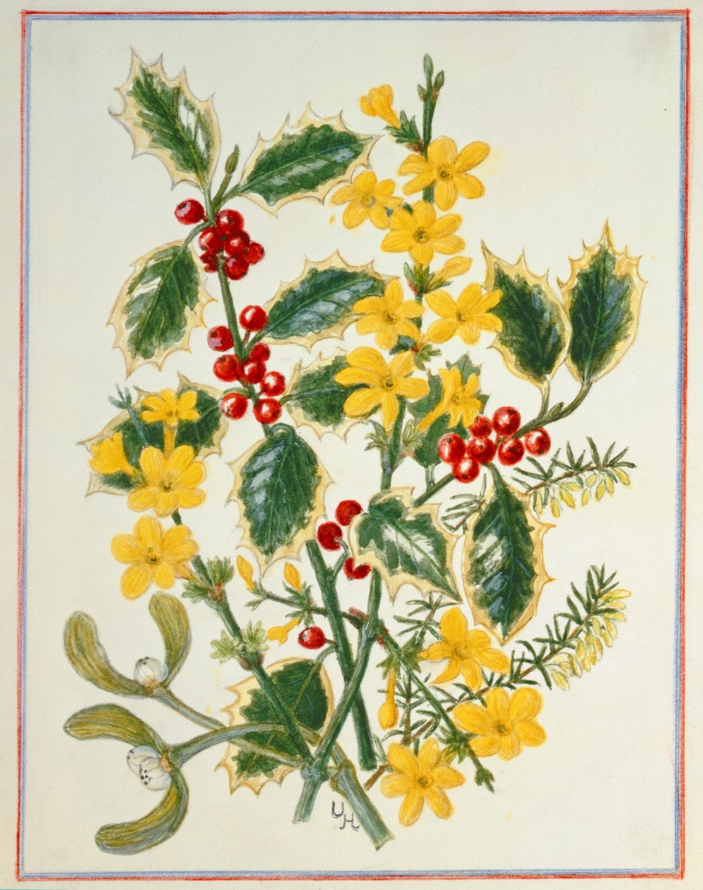 Solve Ursula Hodgson - Holly, Winter Jasmine, Heath and Mistletoe ...