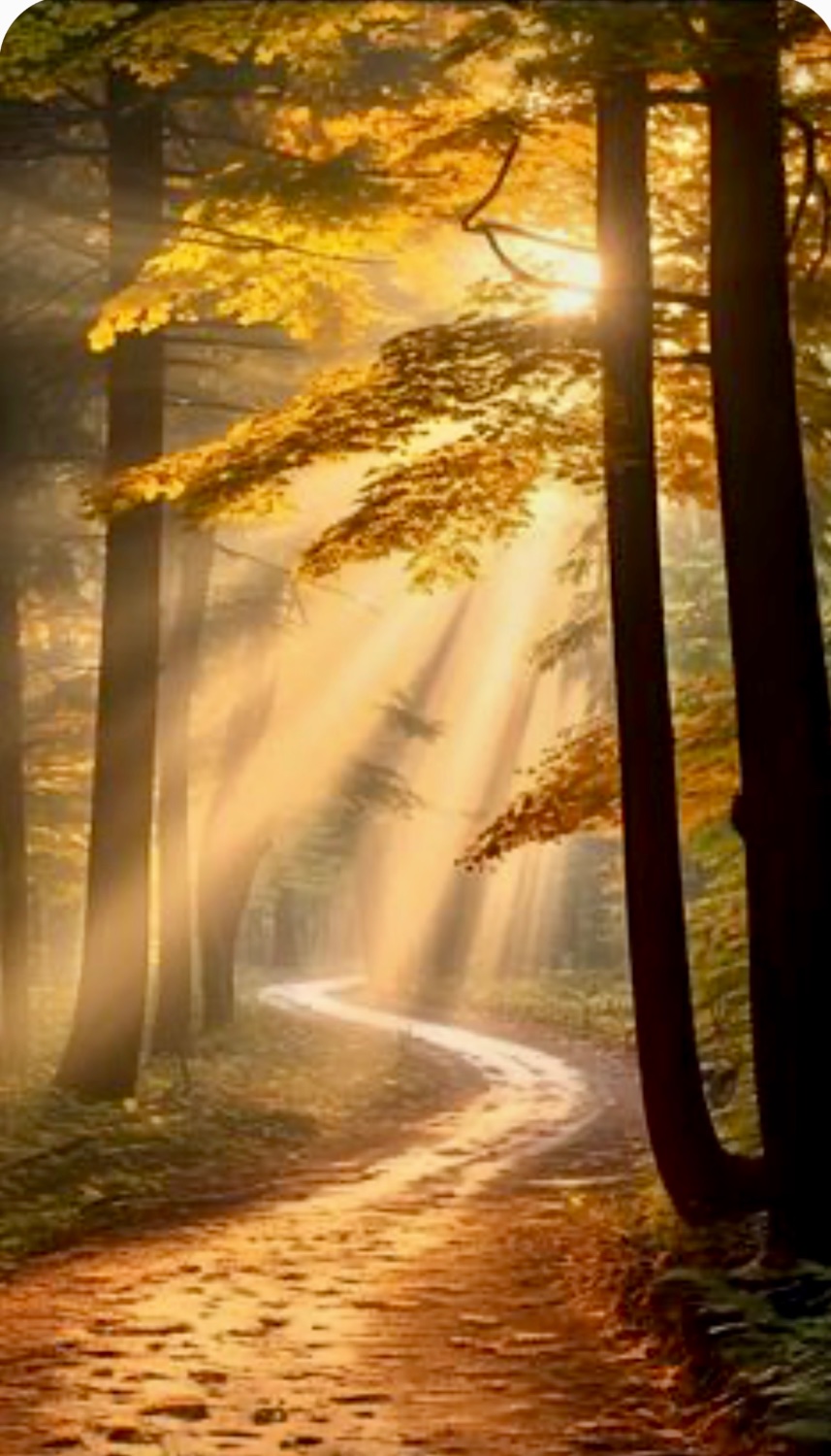 Solve Beautiful Scenery jigsaw puzzle online with 60 pieces