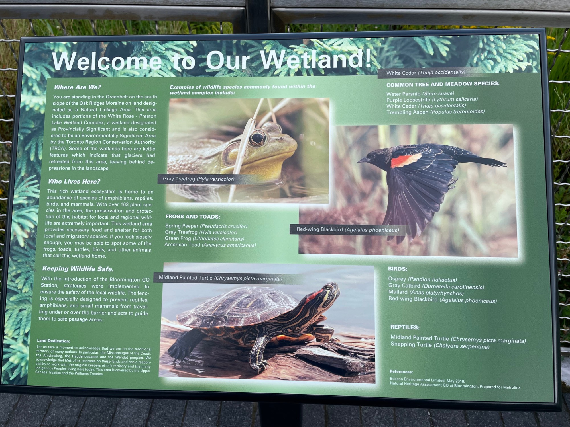 Solve Bloomington's Wetland jigsaw puzzle online with 130 pieces