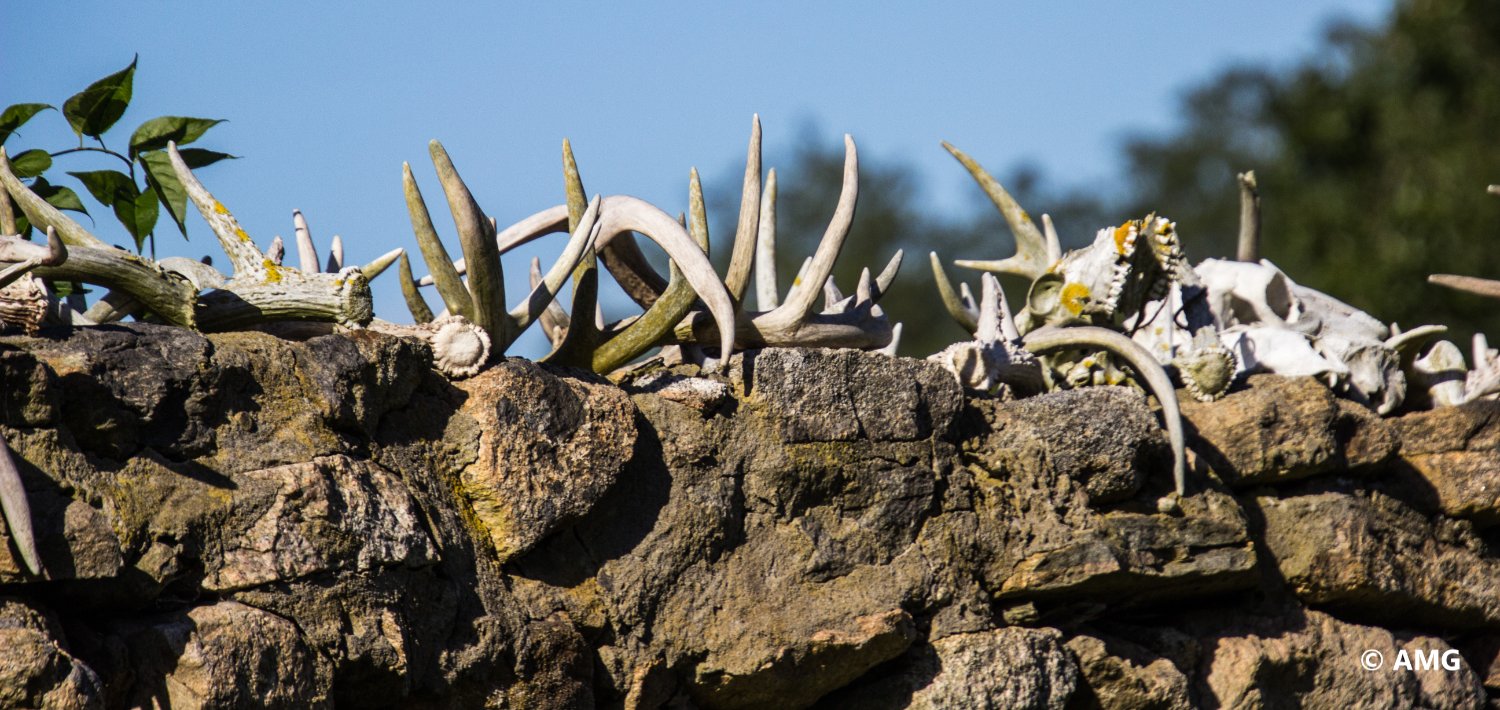 Jigsaw Puzzle | Added Protection | 10 pieces | Jigidi