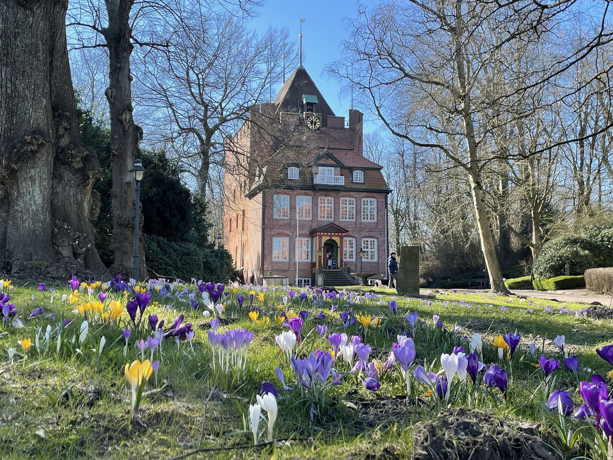 Solve Schloss Ritzebüttel im Frühling jigsaw puzzle online with 154 pieces