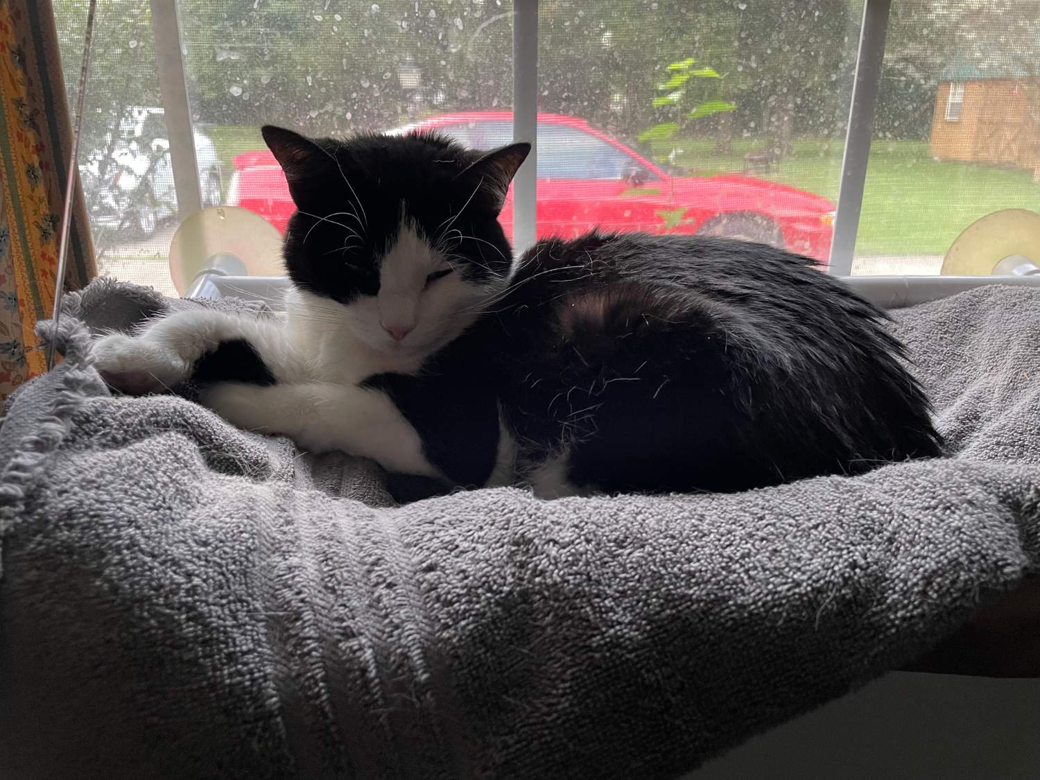 Solve Lizzie not feeling well jigsaw puzzle online with 48 pieces