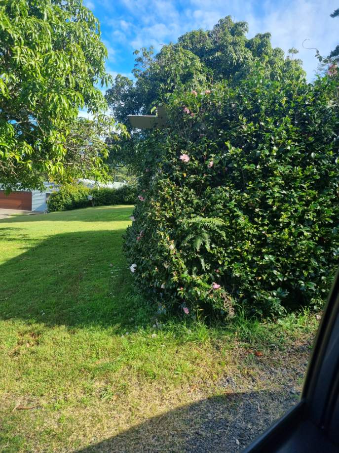 Solve Shrubbery jigsaw puzzle online with 12 pieces