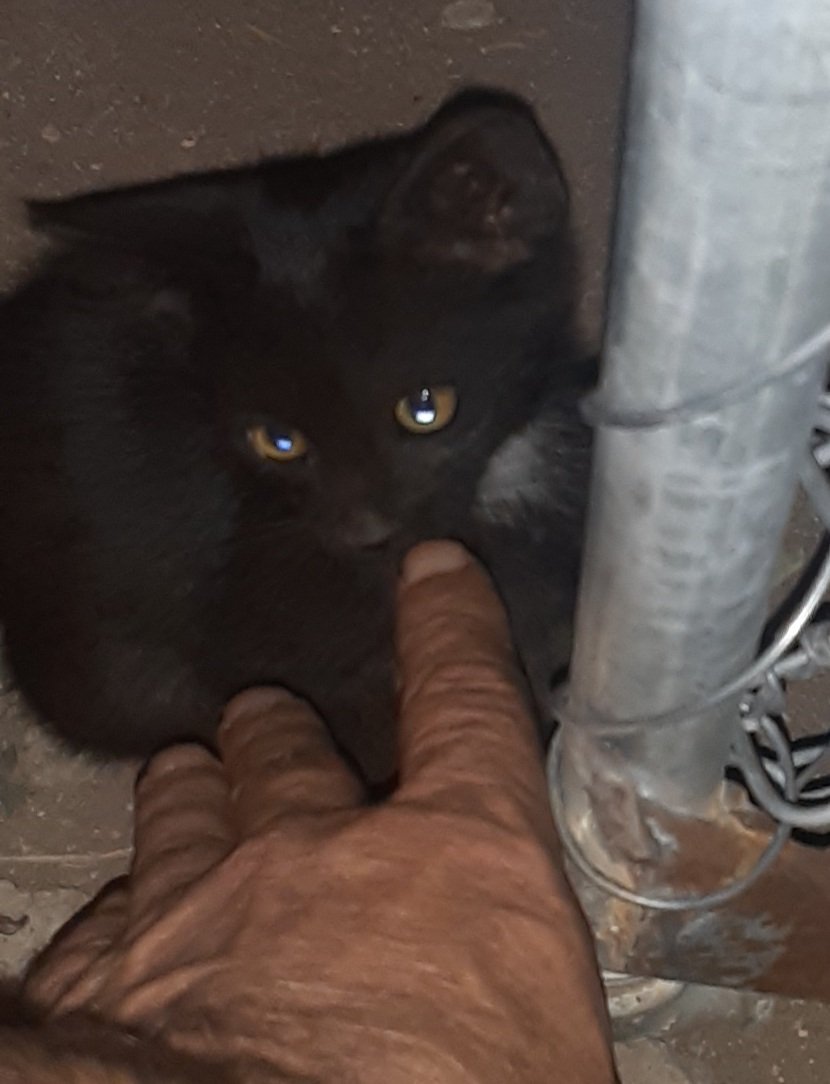 Solve Almost there jigsaw puzzle online with 20 pieces