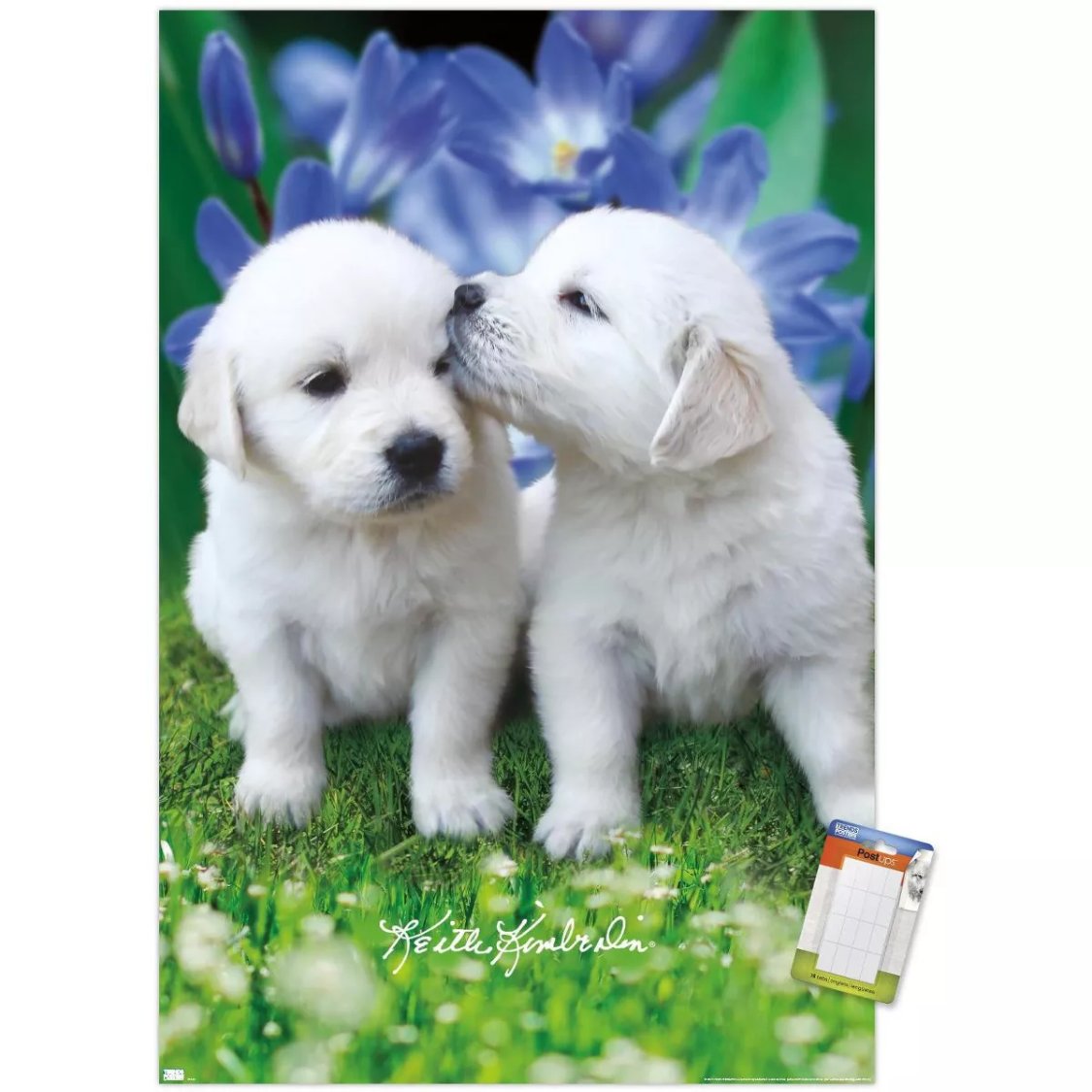 Solve Precious Animals 206 jigsaw puzzle online with 9 pieces