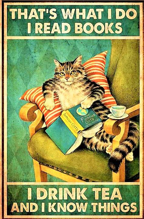 Solve Cat reading books and drinking Tea jigsaw puzzle online with 77 ...