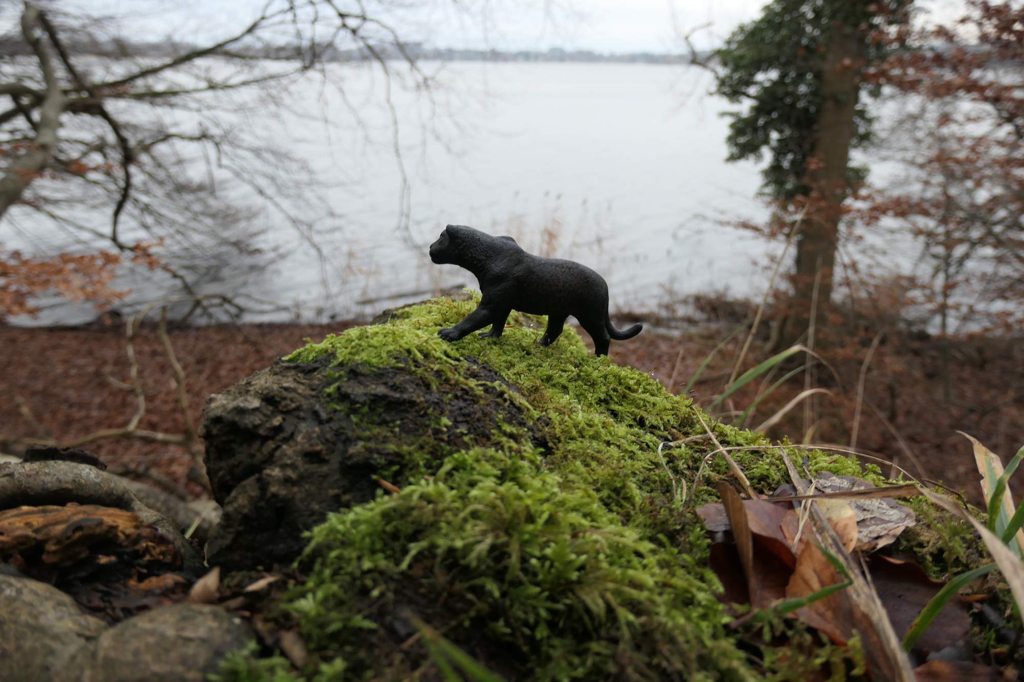 Solve Little Panther Challenge III jigsaw puzzle online with 294 pieces