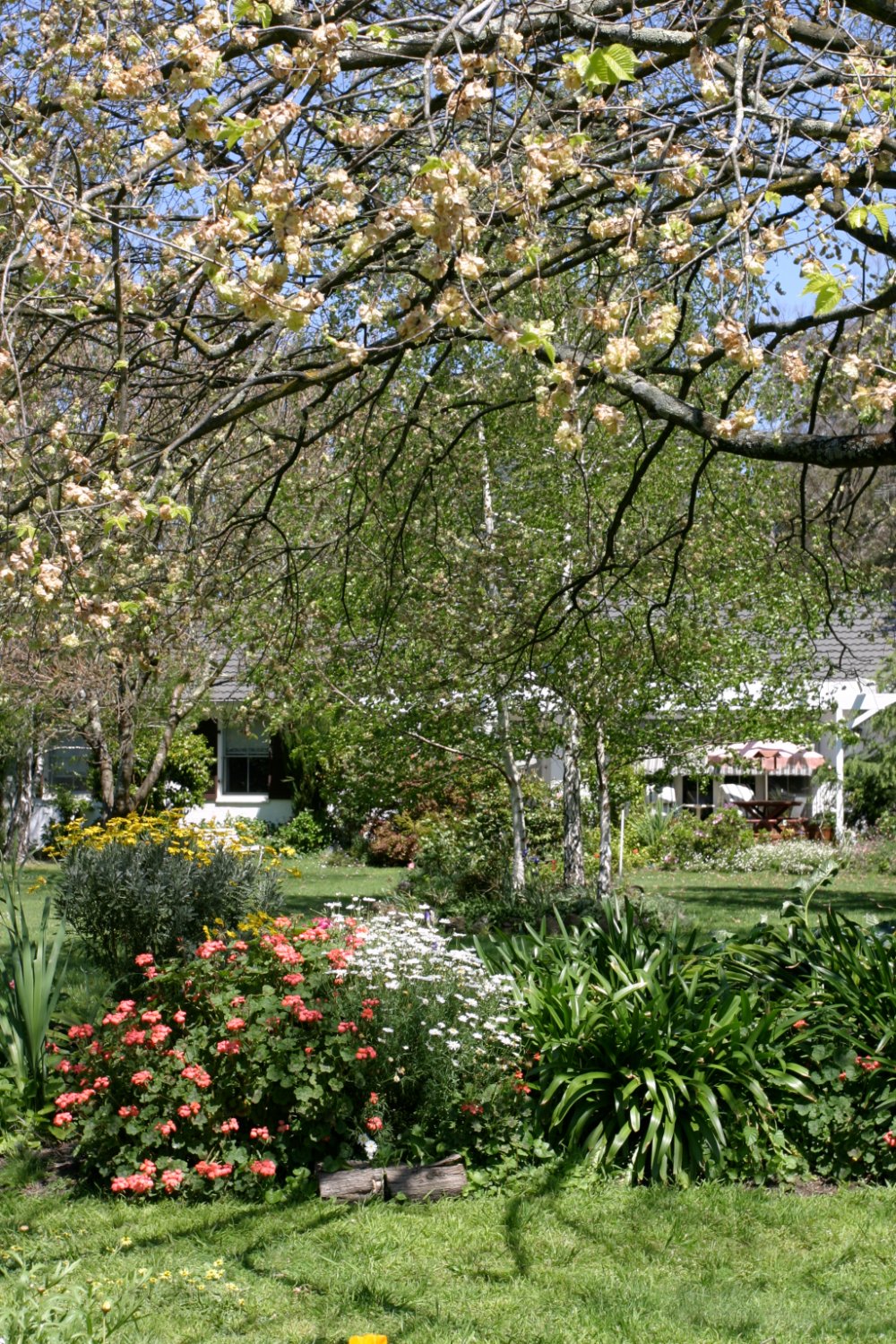 Solve Neighbour's Back Yard jigsaw puzzle online with 96 pieces