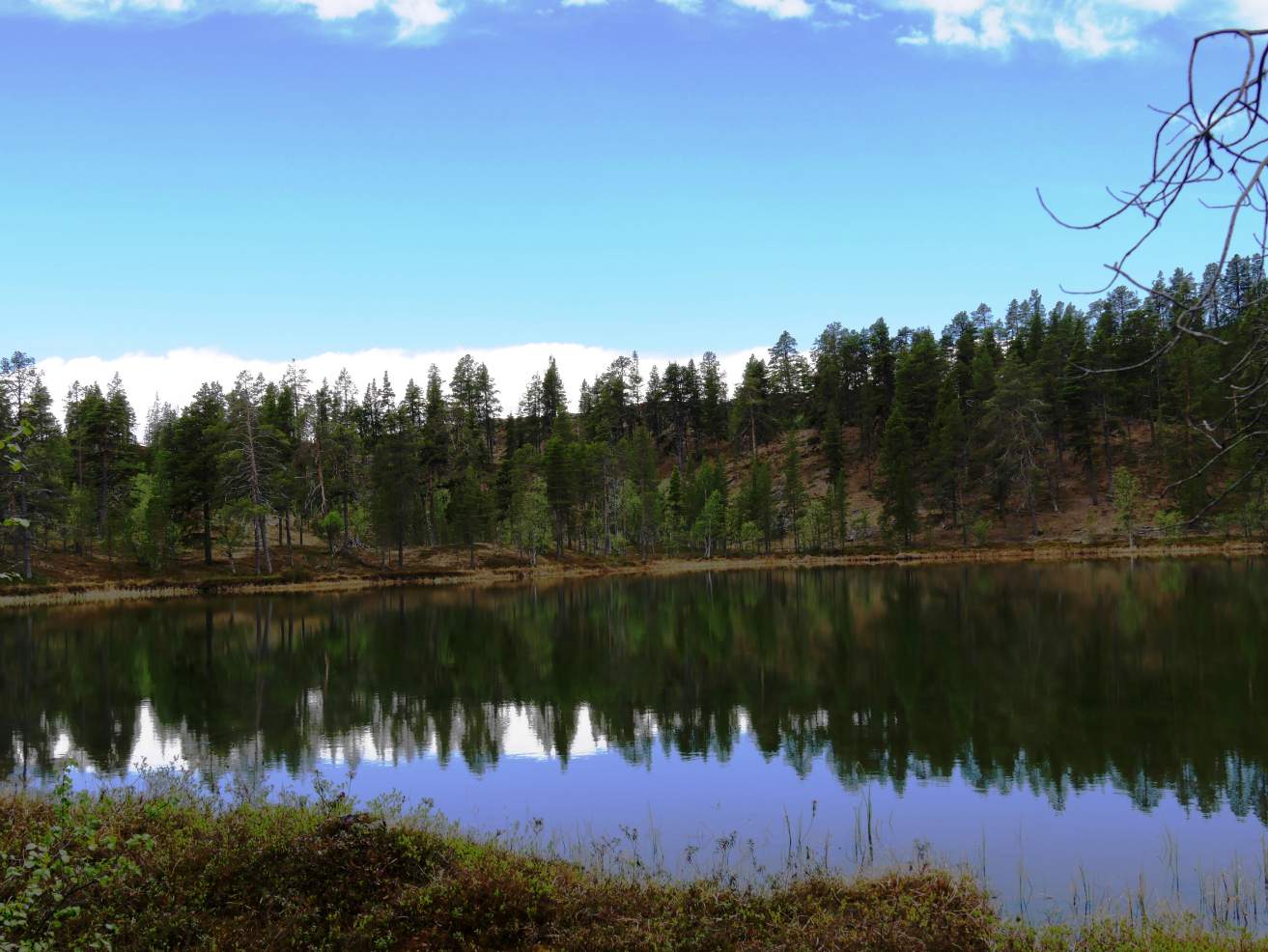 Solve The lake to go with a Finnish blockhouse jigsaw puzzle online ...