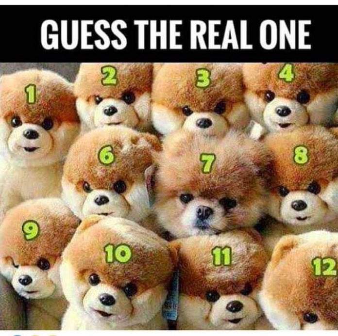 Solve Funny jigsaw puzzle online with 16 pieces