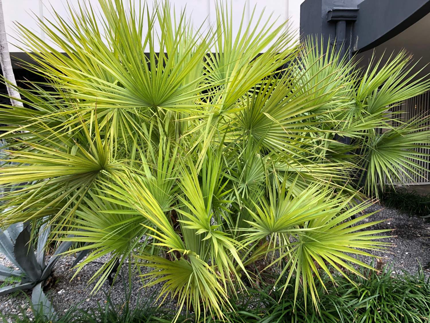 Jigsaw Puzzle | 63 pieces | Nr 53 - Ocean Drive, Miami | Jigidi