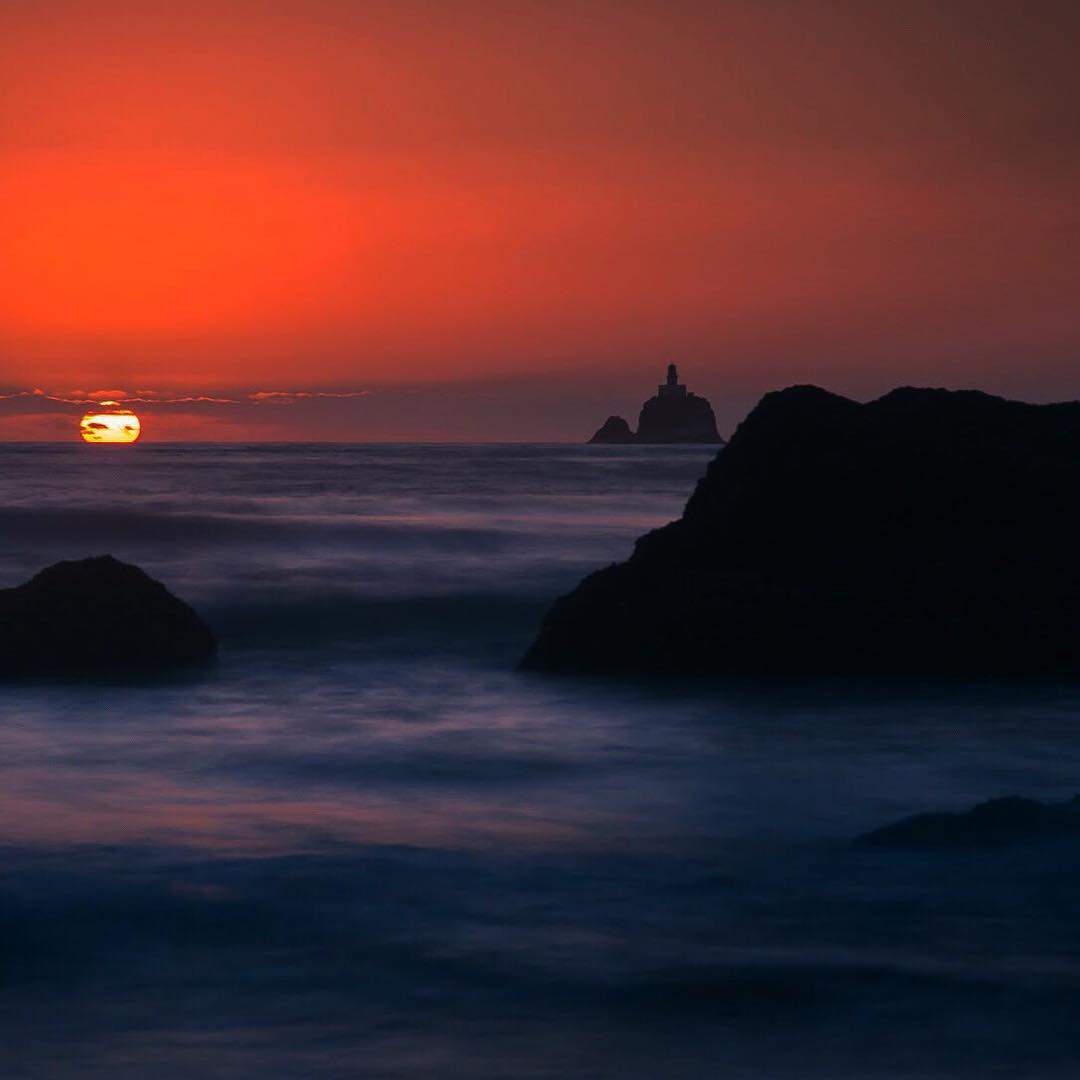 Solve TERRIBLE TILLY AT DUSK jigsaw puzzle online with 144 pieces