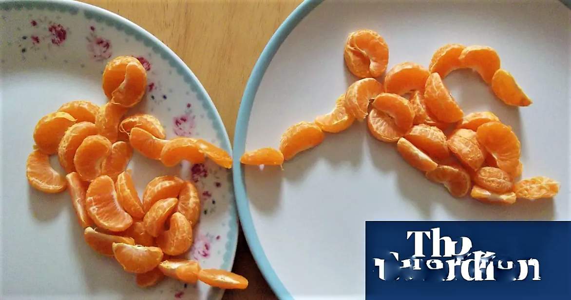 Solve MONDAY EDIBLE FOOD ART - 4 OF 4 jigsaw puzzle online with 15 pieces