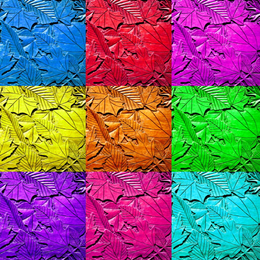 Solve Leaf Panel Experiment jigsaw puzzle online with 36 pieces
