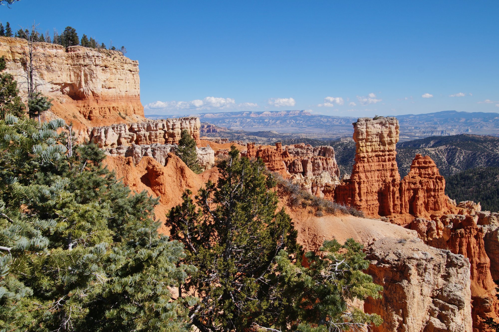 Solve Steps jigsaw puzzle online with 77 pieces