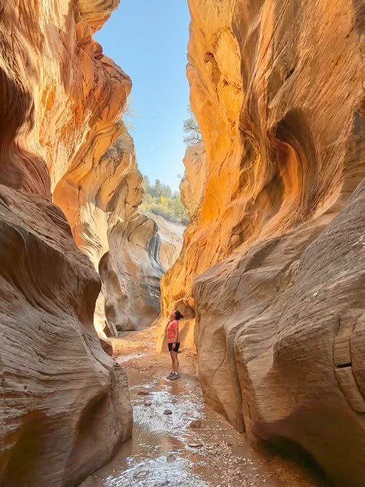 Solve Utah jigsaw puzzle online with 99 pieces