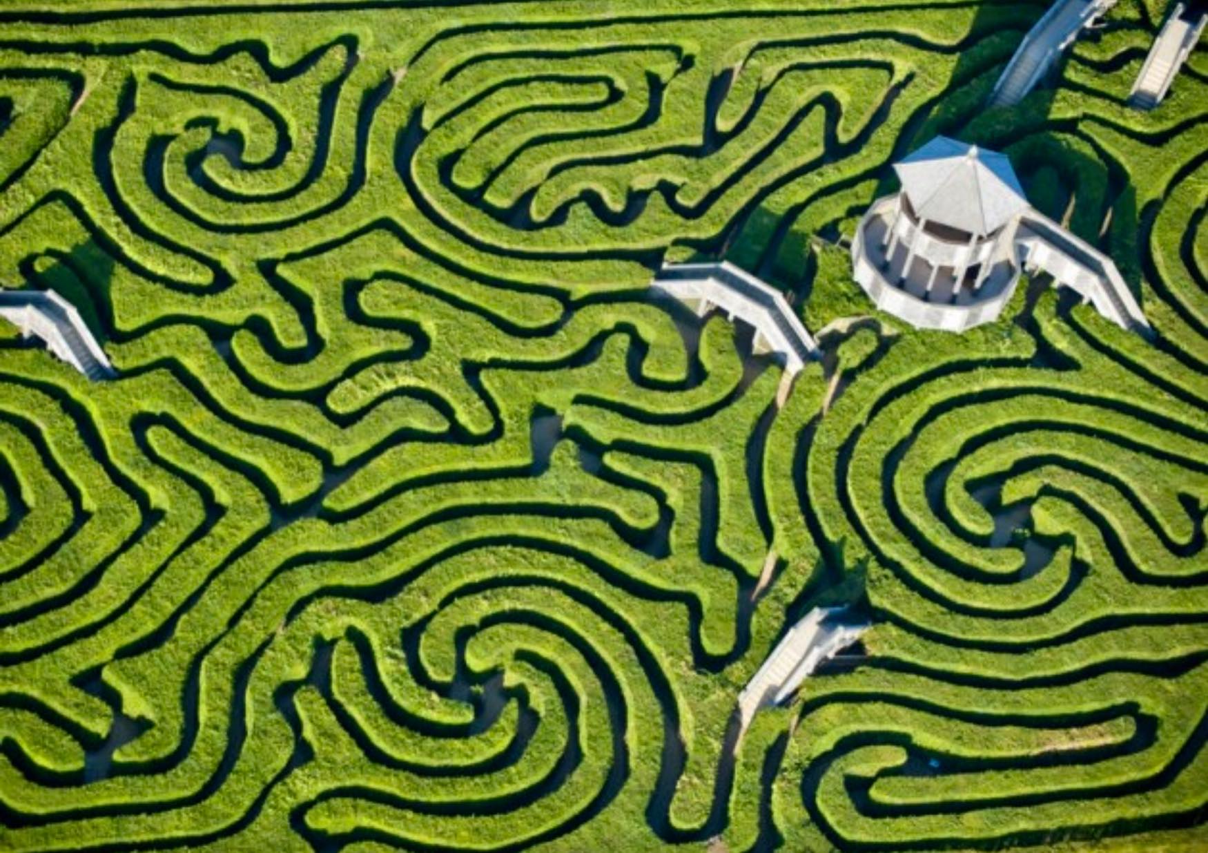 Solve Longleat Hedge Maze jigsaw puzzle online with 140 pieces
