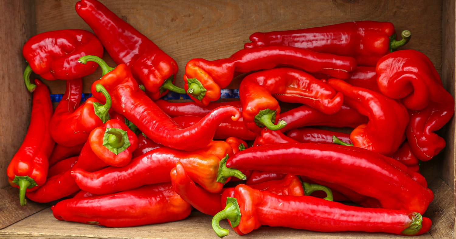 Solve RED HOT CHILI PEPPERS jigsaw puzzle online with 72 pieces