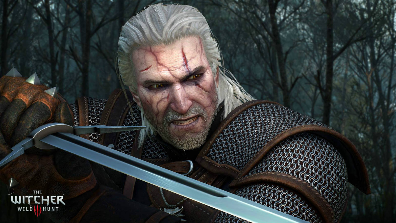 Solve The Witcher 3 Wild Hunt - Geralt of Rivia on elixirs jigsaw ...