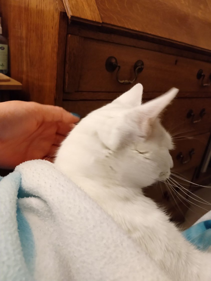 Solve Remembering Lily 0699 - What did Lily do about the sneaky hand ...