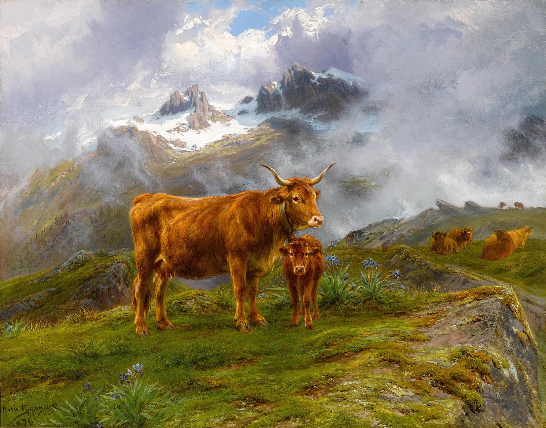 Solve Highland Cattle jigsaw puzzle online with 80 pieces