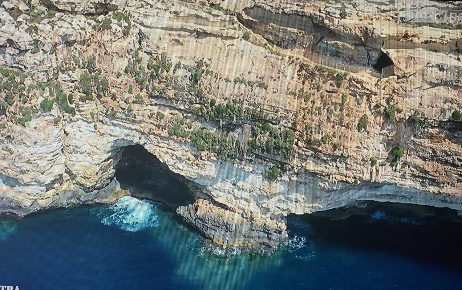 Solve Bats in Malta 12. jigsaw puzzle online with 28 pieces