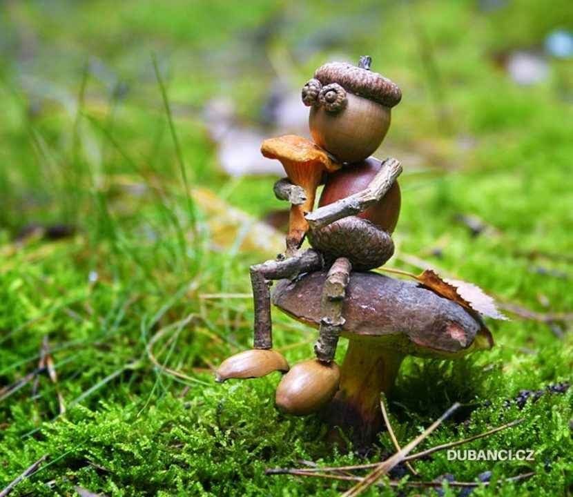 Solve Nature :-) jigsaw puzzle online with 20 pieces