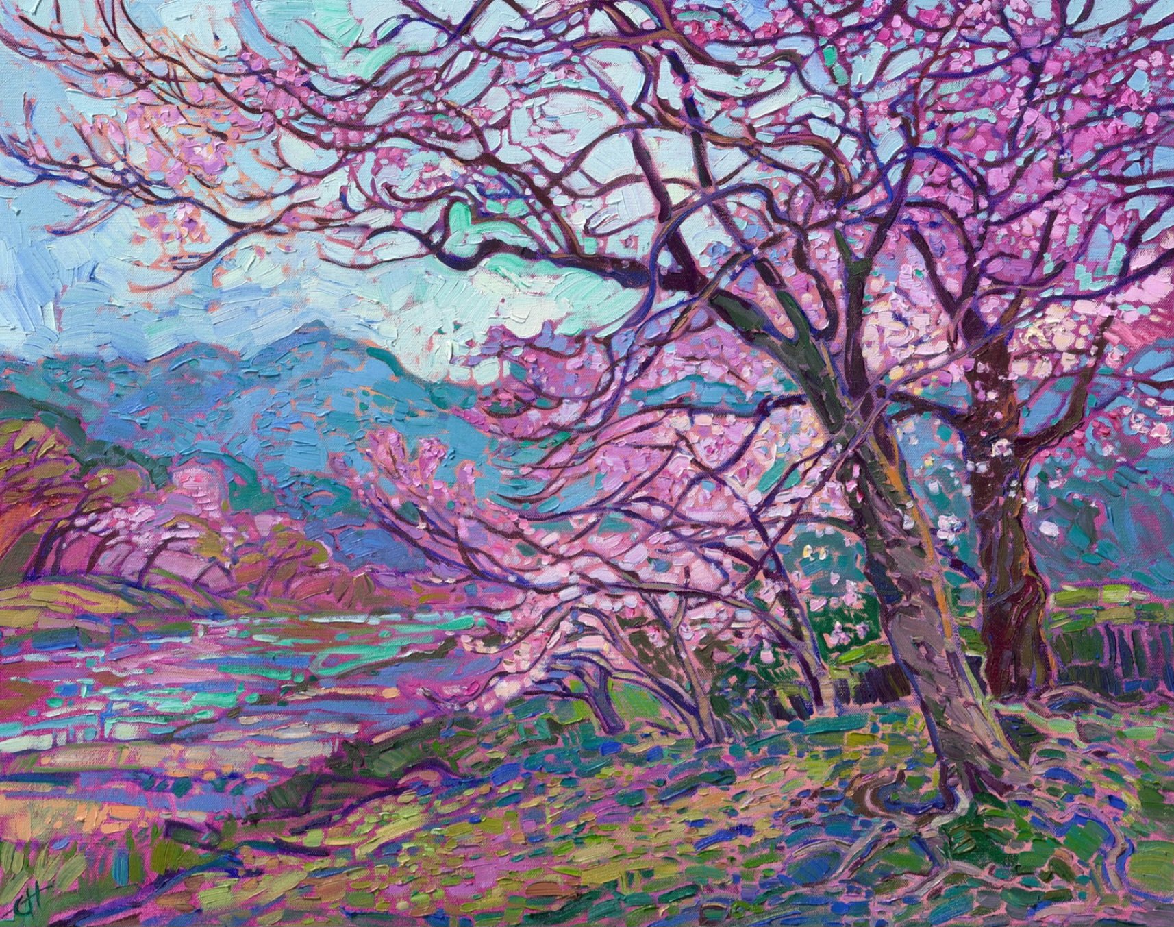 Solve Cherry Trees In Full Bloom Near Kyoto, Japan jigsaw puzzle online ...