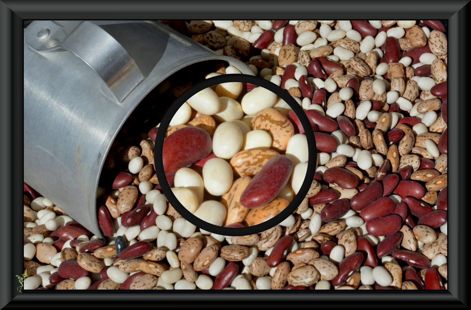 Solve Beans the magical food... jigsaw puzzle online with 400 pieces