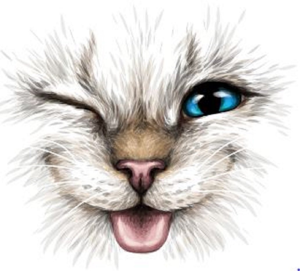 Solve Cutie Jigsaw Puzzle Online With 56 Pieces