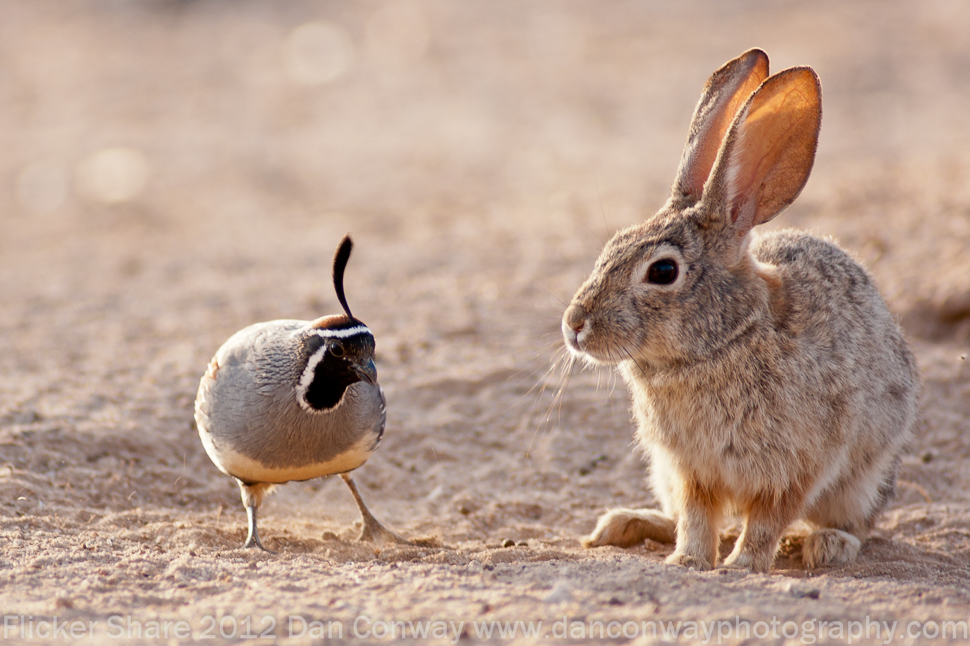 Solve The world would be a very boring place if we all look the same ...