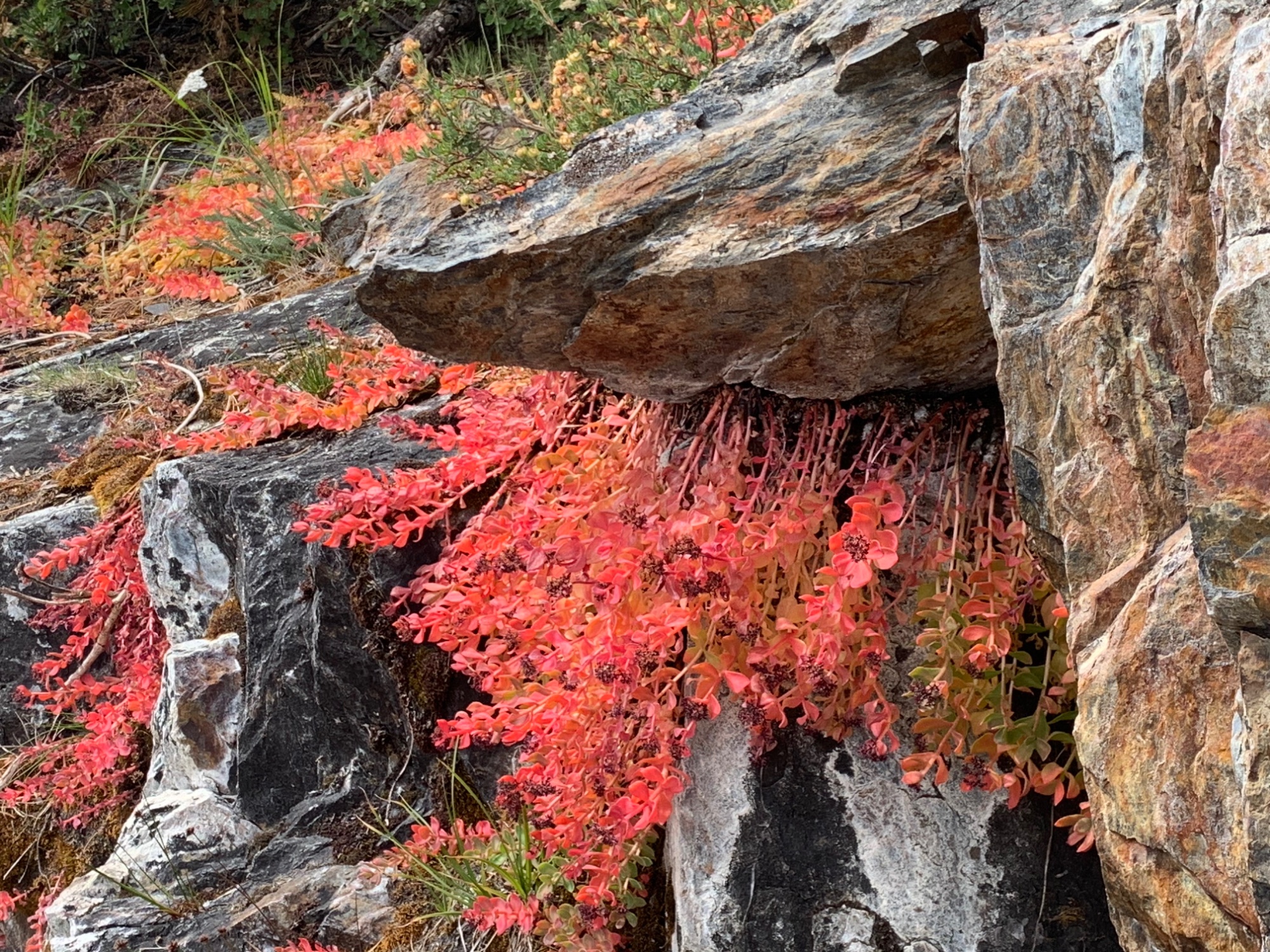 Solve 20 Lakes Basin jigsaw puzzle online with 252 pieces