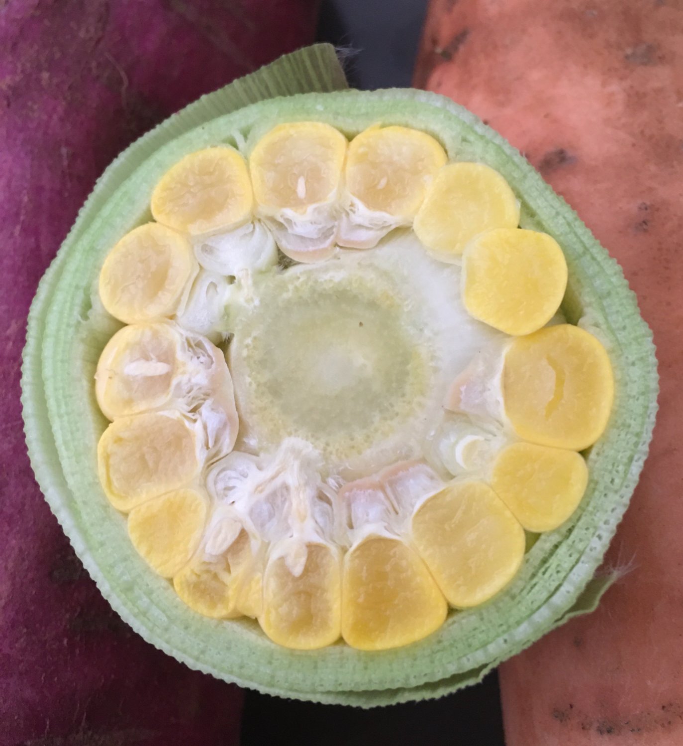 Solve Cross Section of corn cobb jigsaw puzzle online with 100 pieces