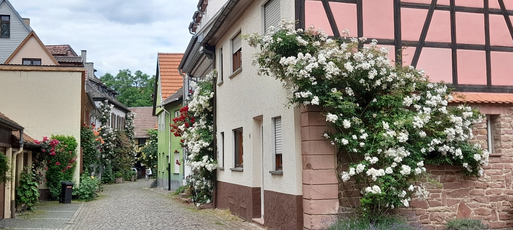 Solve Ladenburg, Baden-Württemberg, Germany jigsaw puzzle online with ...