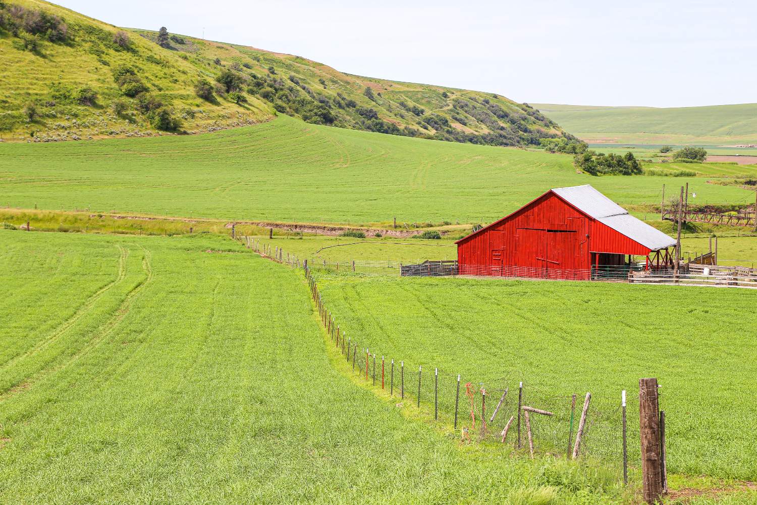 Solve FARM COUNTRY jigsaw puzzle online with 77 pieces