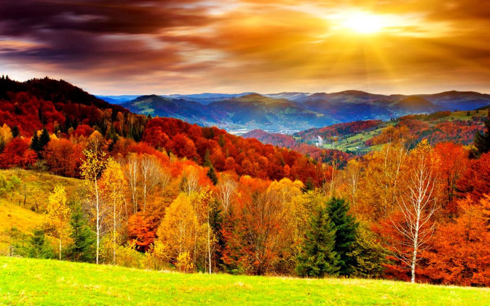 Solve Fall Scenery jigsaw puzzle online with 260 pieces