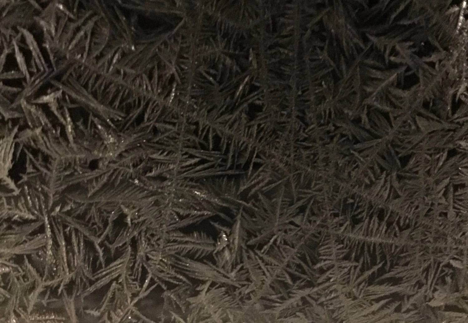 Solve Frost patterns on the door windows jigsaw puzzle online with 12 ...