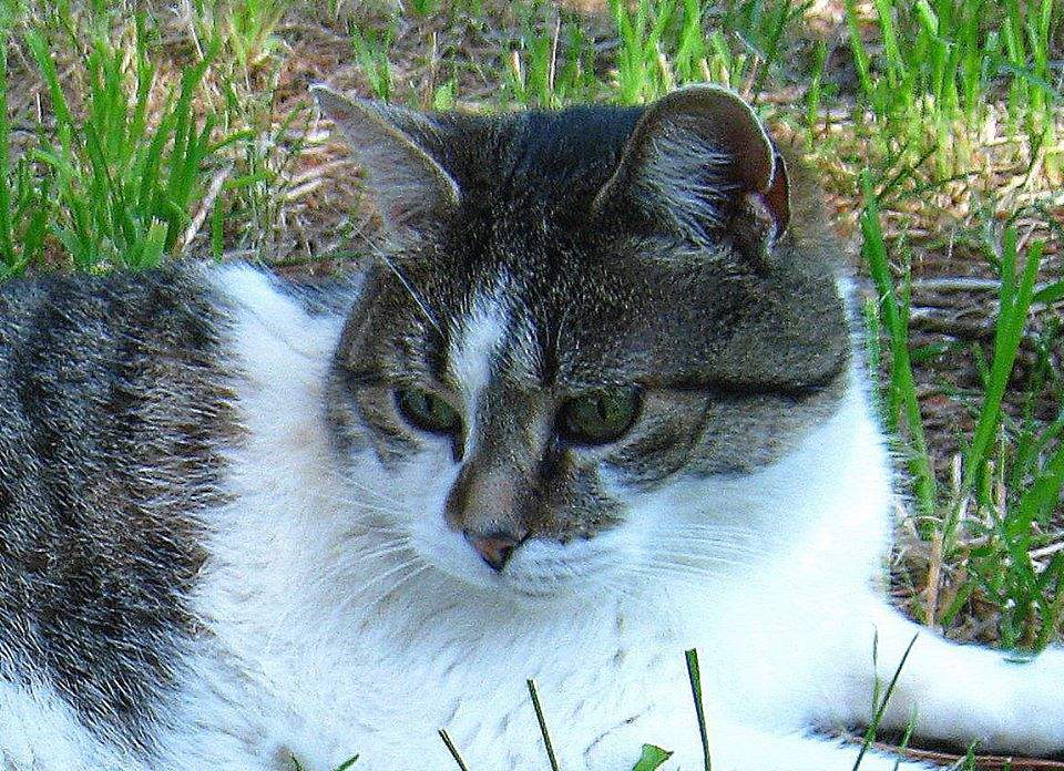 Jigsaw Puzzle | Zip Zip | 176 pieces | Jigidi