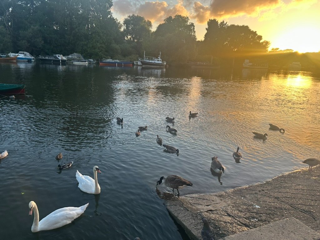 Solve Sunset on the Thames, Richmond jigsaw puzzle online with 88 pieces