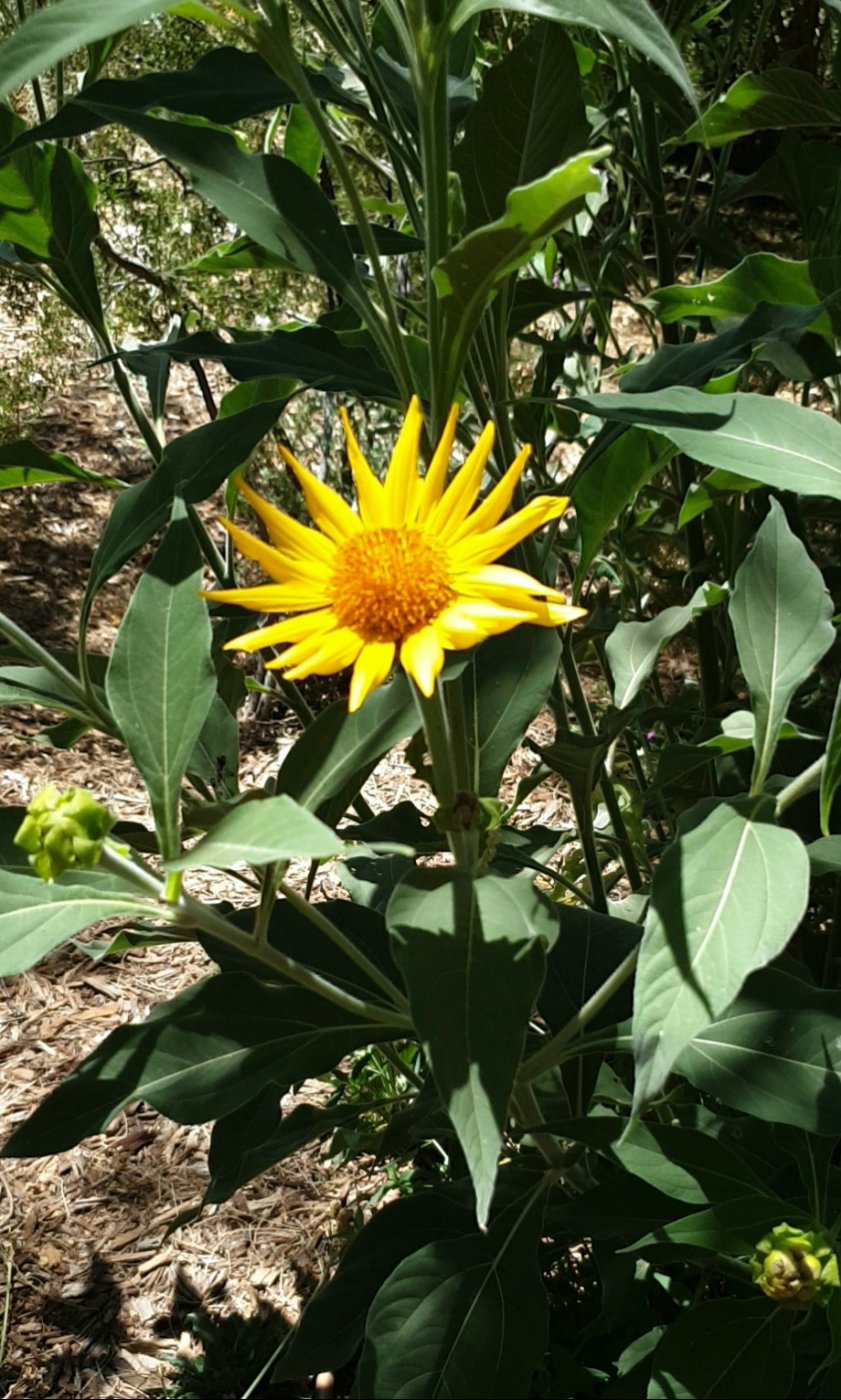 Solve RIDDLE OR TRIVIA #614 jigsaw puzzle online with 28 pieces