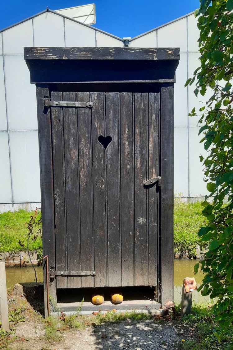 Solve Outdoor Loo jigsaw puzzle online with 12 pieces
